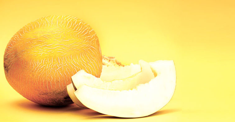 En picada cosecha de melón - Periodico La República