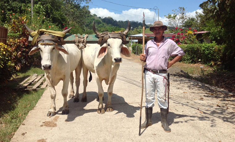 Turrubares abre puertas al turismo con Expoferia del Río Tulín ...