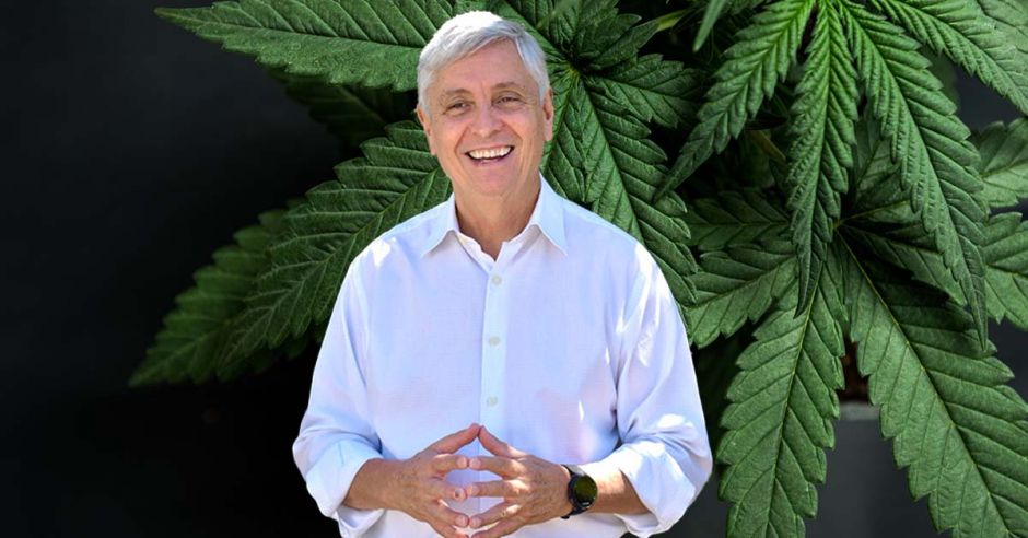 Es necesario analizar el impacto de la marihuana recreativa en el ...