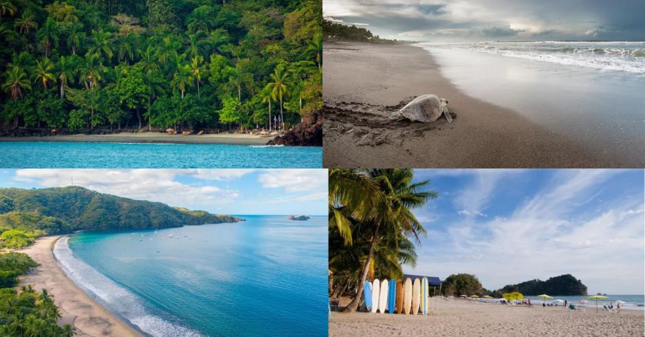 Las 9 mejores playas de Costa Rica para practicar surf, snorkel y observar vida silvestre, según ...