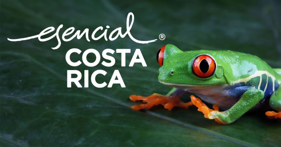 Marca País: Un impulso esencial para las empresas de Costa Rica ...