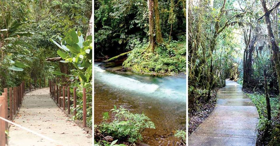 Explore los senderos de los Parques Nacionales: Conozca estas tres ...