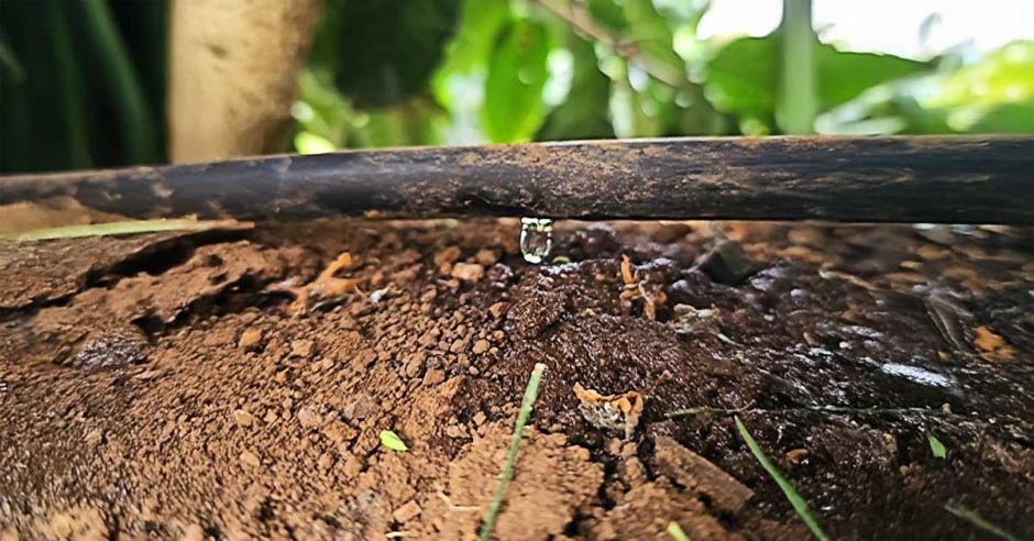 CAFINTER, BAC y NETAFIM revolucionan la caficultura costarricense con ...