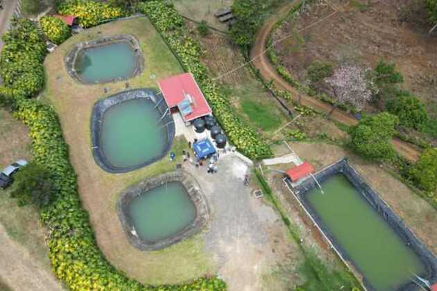 CAFINTER, BAC y NETAFIM revolucionan la caficultura costarricense con ...