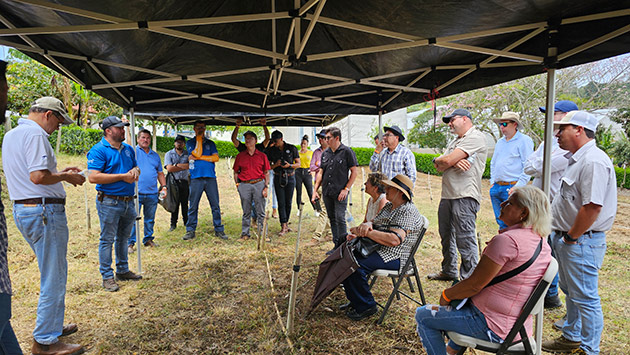 CAFINTER, BAC y NETAFIM revolucionan la caficultura costarricense con ...