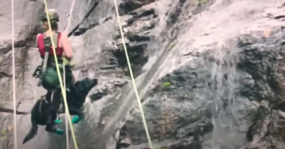 PETA lanza críticas contra imágenes de perros haciendo rapel en Costa ...