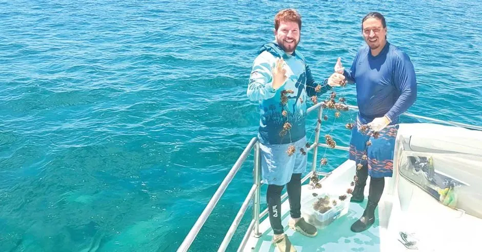 INA y UNED impulsan la recuperación de arrecifes de coral en Isla Tortuga - Periodico La República