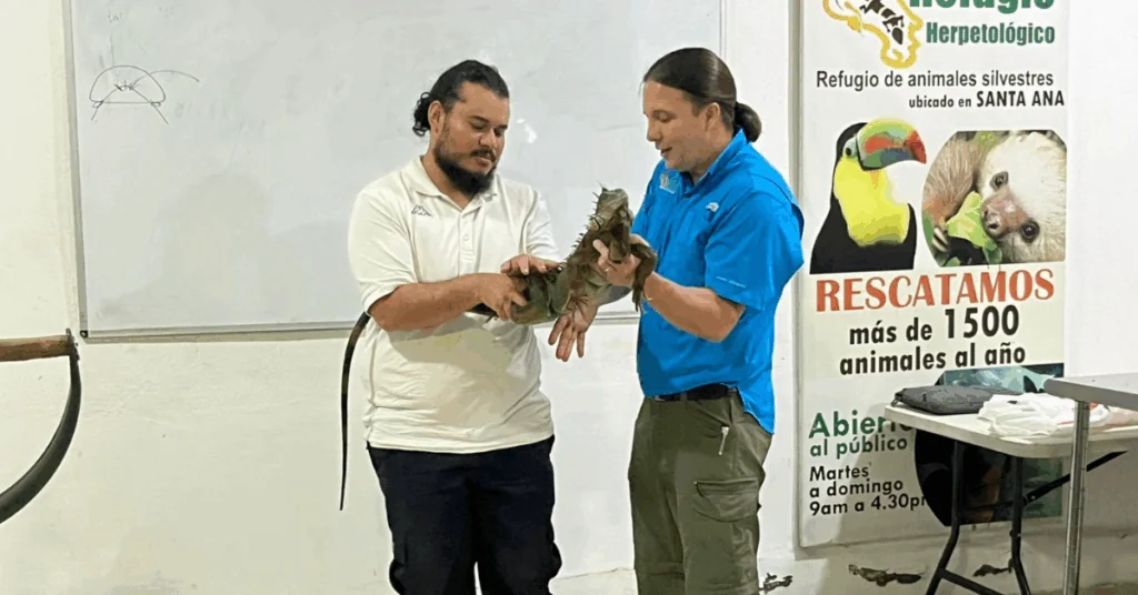 Ruta 27 ha rescatado 15 animales silvestres en lo que va de 2025 ...